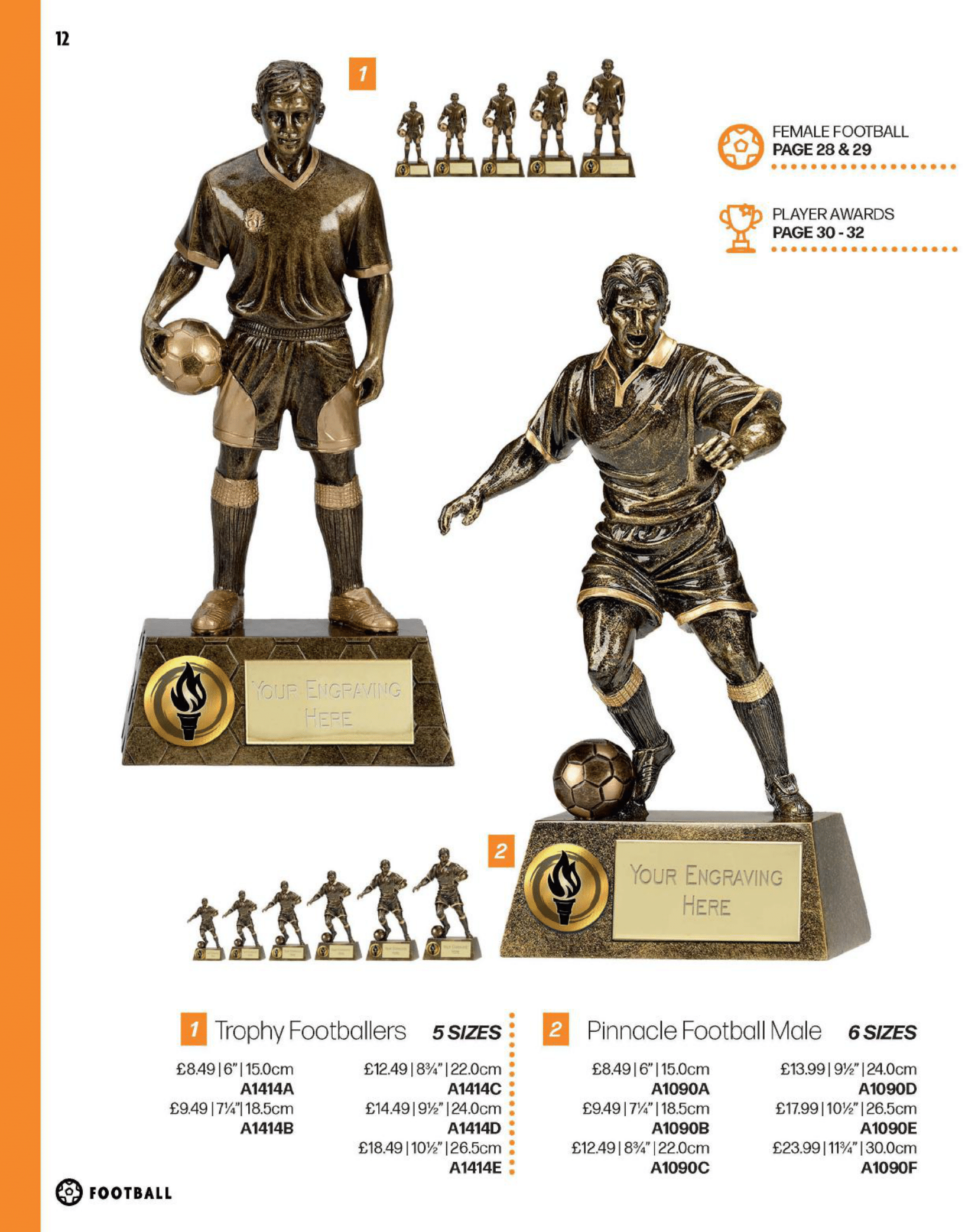 Male football trophies and awards